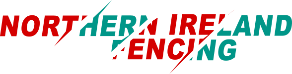 Safeguarding Officer (Voluntary) – Northern Ireland Sports Forum